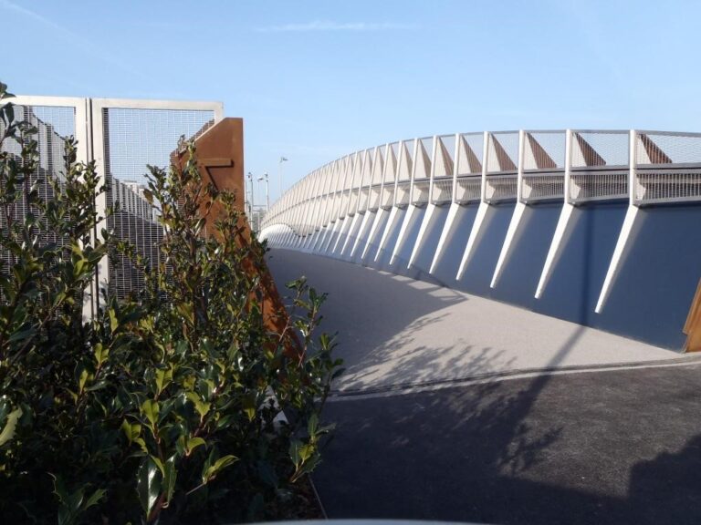 The Bimagrip of the future – How Thorgrip is paving the way - The ...